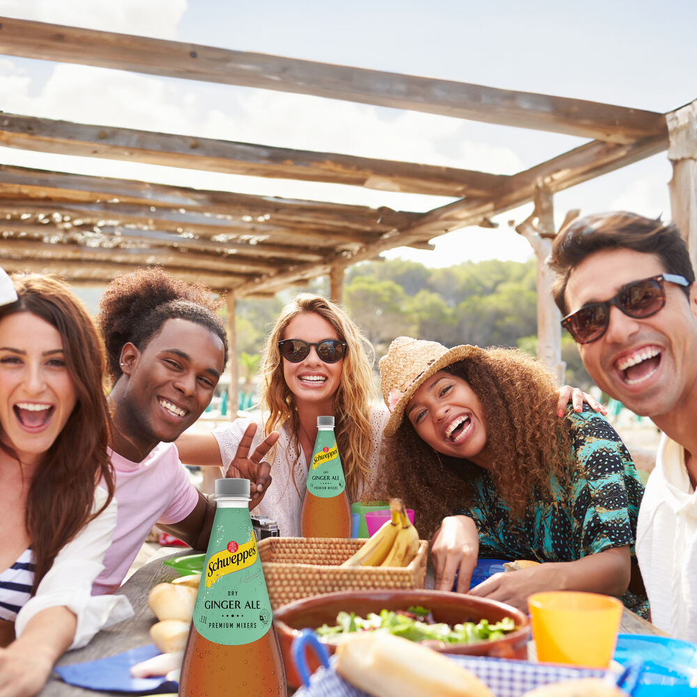 Schweppes Dry Ginger 1.1Lt | Liquorland