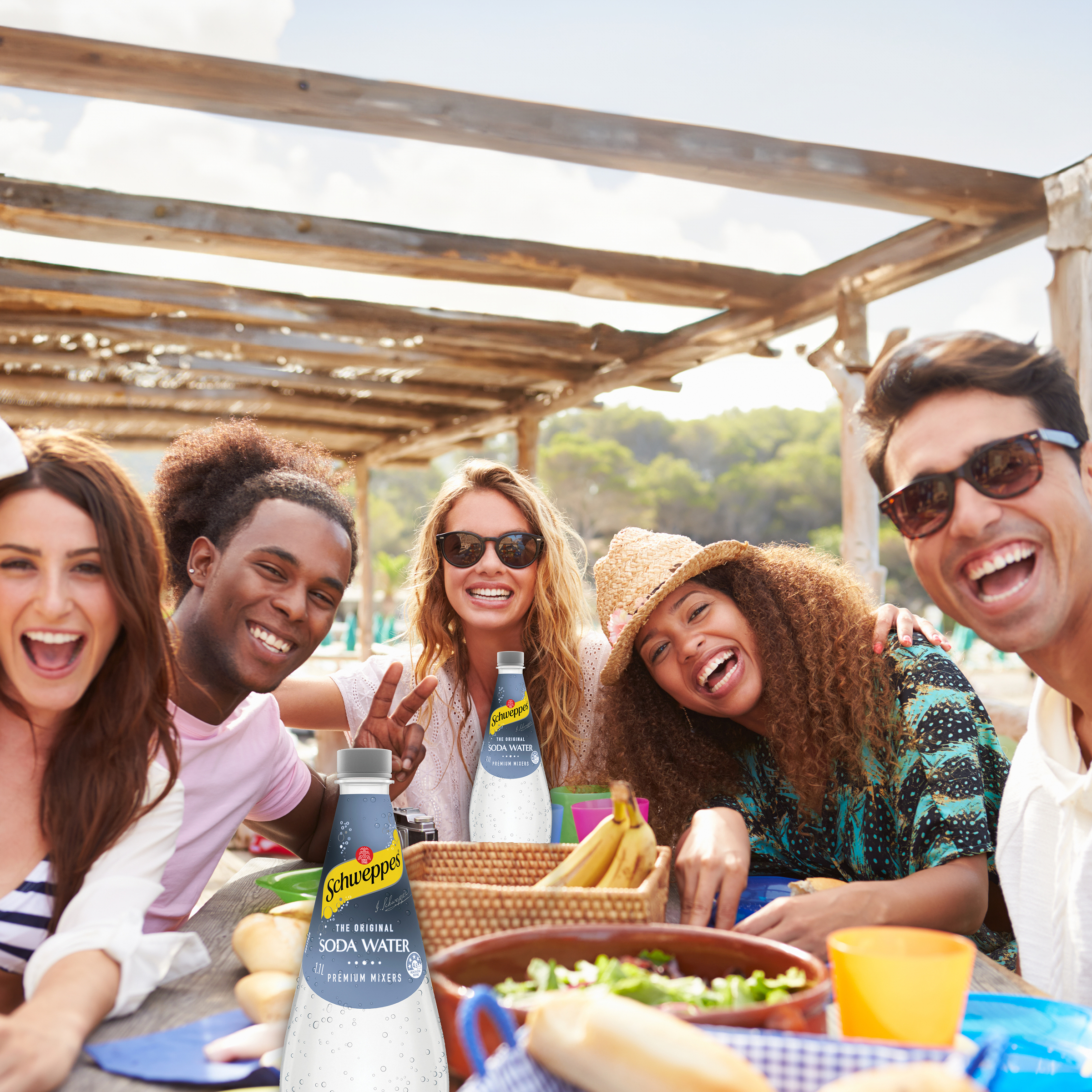 Schweppes Soda Water 1.1Lt - Single & 12 Pack Deals